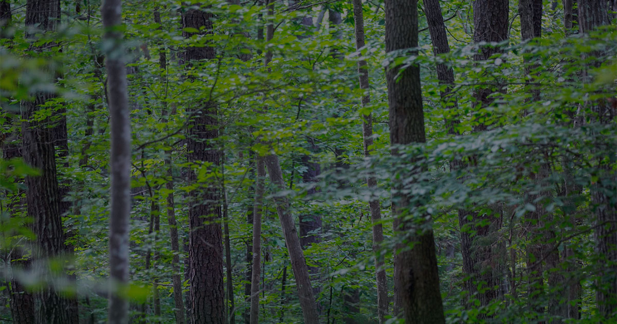 Front Page - Duke Stories